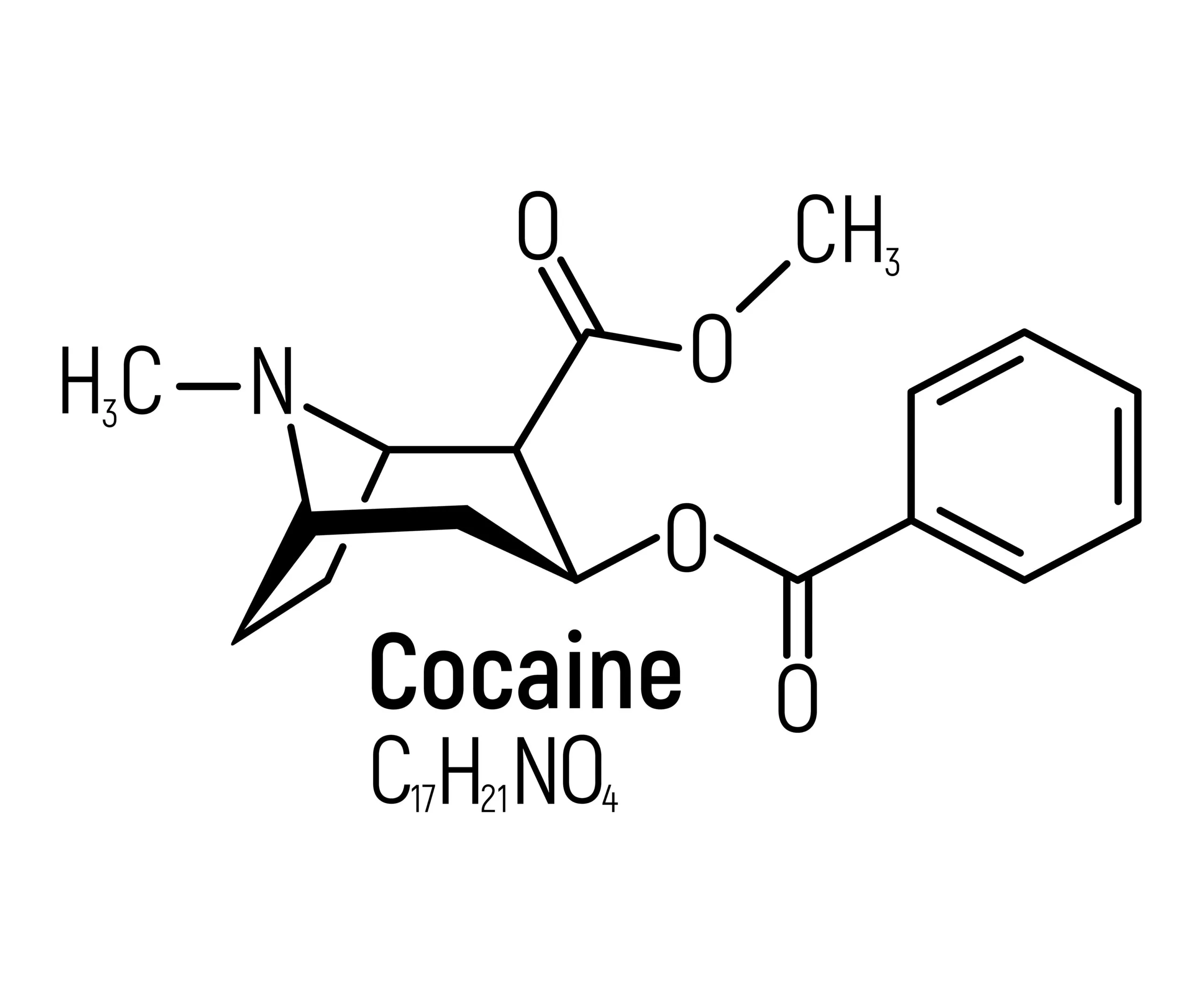 Cocaine Use Disorder Ceu