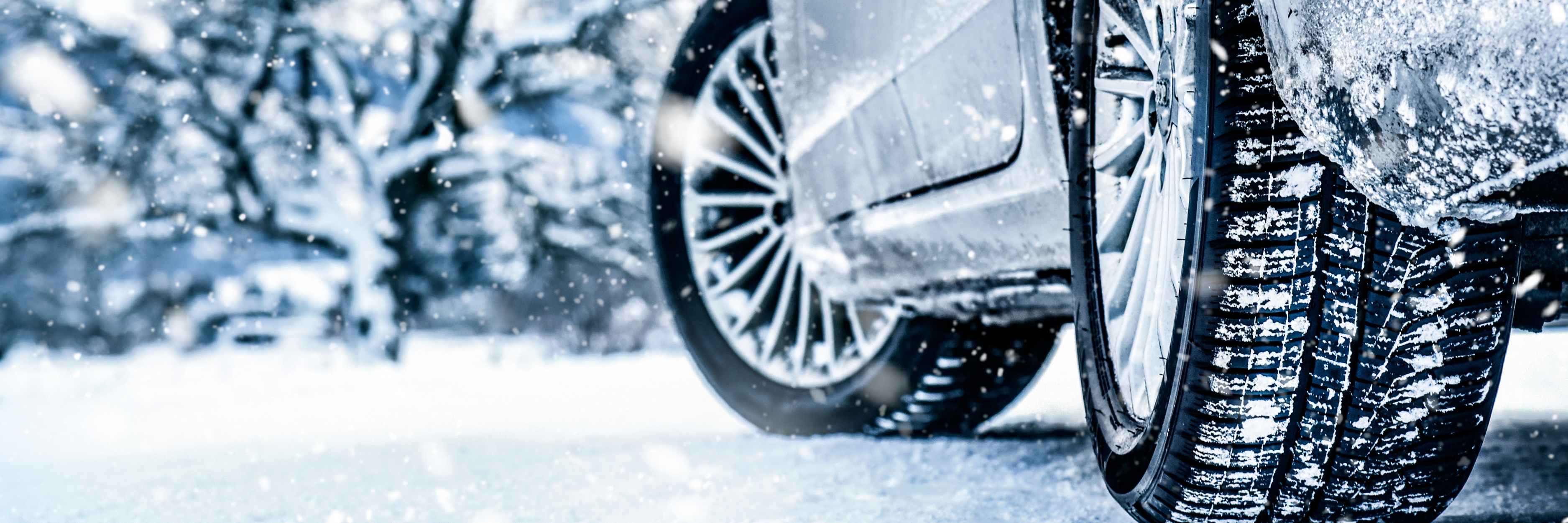 Leslie Catalano, Author at NurseCE4Less